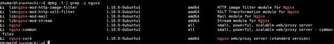 Useful Grep Command Examples In Linux