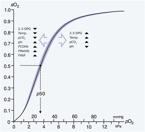Oxygen Partial Pressure Po2 Radiometer Oxygen Partial Pressure Po2 Radiometer