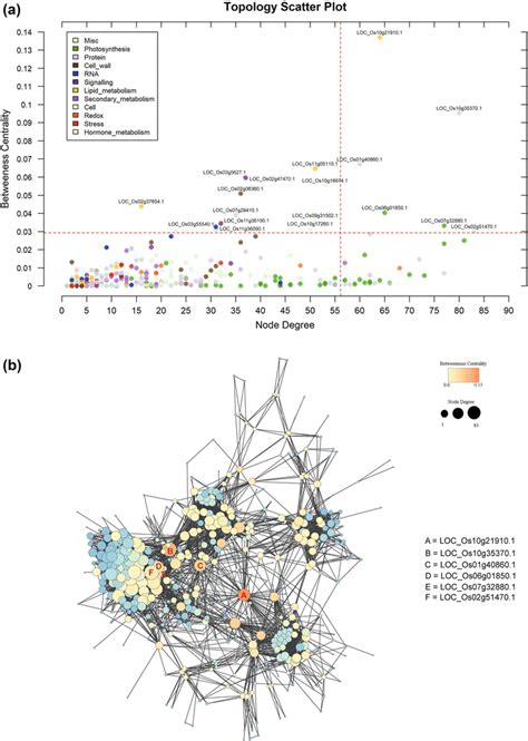 Topological Properties Of The Proteinprotein Interaction Ppi