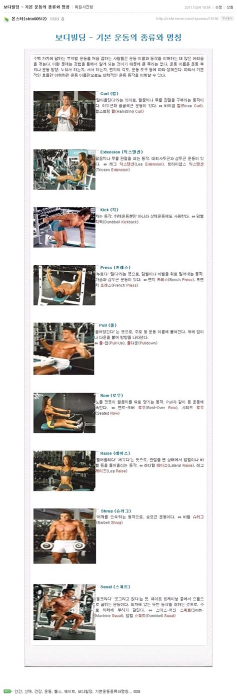 보디빌딩 기본 운동의 종류와 명칭 네이버 블로그