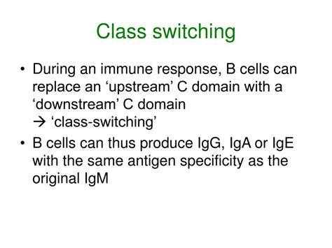 Ppt Immunoglobulins Powerpoint Presentation Free Download Id3498110