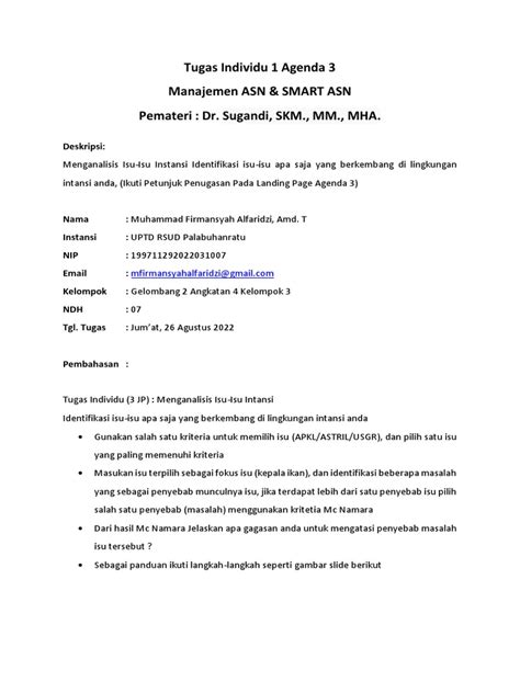 Tugas Individu 1 Isu Isu Instansi Pdf