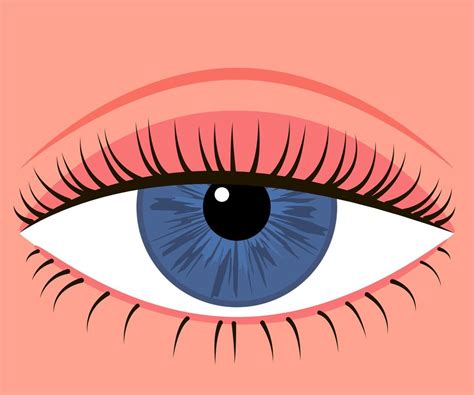 Eye With Down Lid Blepharoplasty Eyelid Surgery Correction Aesthetic