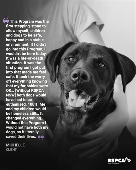 Rspca Nsw On Linkedin At Rspca Nsw We Understand That Animals Are An