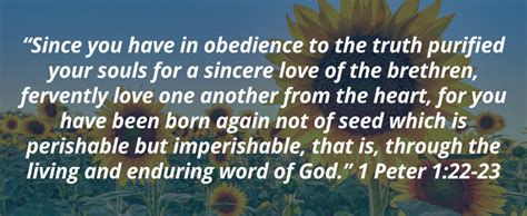 All Out Love For One Another Part 1 Live To Love With Jesus