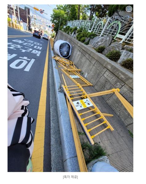 거대 롤이 등굣길 스쿨존 덮쳤다…10세 초등생 사망 오픈이슈갤러리 인벤