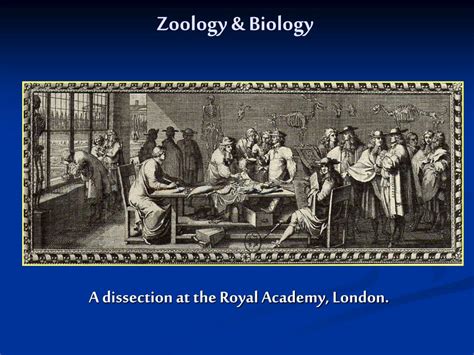 Ppt The Enlightenment 1600 1800 Powerpoint Presentation Free Download Id 5838153