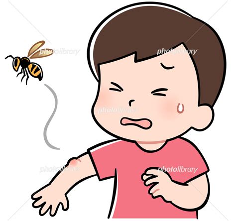 蜂に刺される男の子 イラスト素材 6406471 フォトライブラリー photolibrary