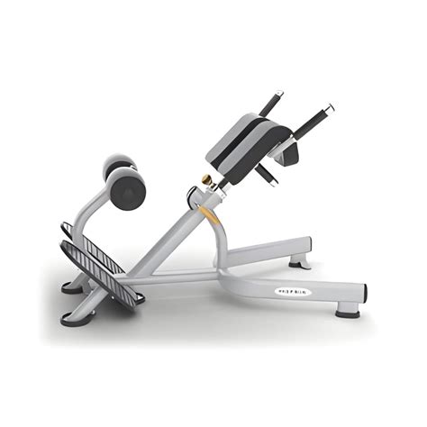 Johnson Health Tech Aura Back Extension Bench Matrix Aura Back