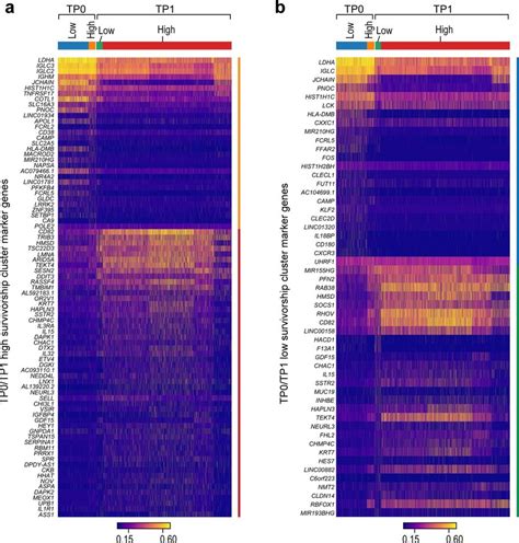 Marker Gene Expression Over Time Across Survivorship Clusters A Download Scientific Diagram