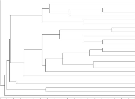 upgma dendrogram derived from mlva analysis showing the percentages of