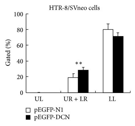 Cell Apoptosis Detection By Flow Cytometry And Western Blotting Assays Download Scientific