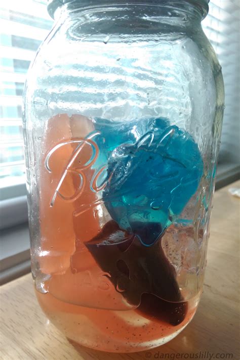 The Jar Of Melted Sex Toys Where Are They Now — Dangerous Lilly