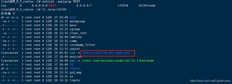 Linux、centos通过端口号或者程名查看进程所在目录等详细信息centos 查看进程及端口号 Csdn博客