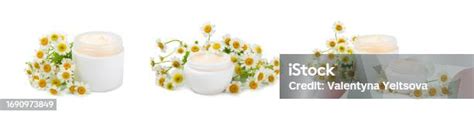 하얀 배경에 분리된 카모마일 추출물이 들어간 몸과 핸드 크림 한방 피부과 화장품 위생 크림 천연 미용 제품 스파 개념입니다 0명에 대한 스톡 사진 및 기타 이미지 Istock