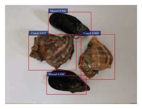 Resnet Faster R Cnn Detection Result A Normal Detection B Download Scientific Diagram