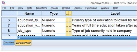 SPSS 26 Review Of SPSS New Interface