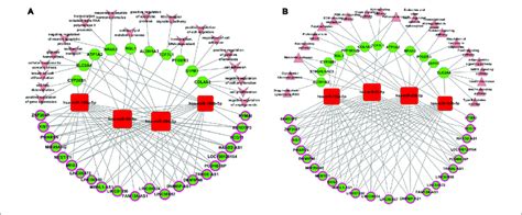 Biological Function Analysis Of Aberrantly Expressed Genes Regulated