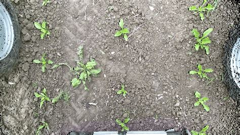 Examples Of The Data Recorded By The Kinect Sensor From Left To Right