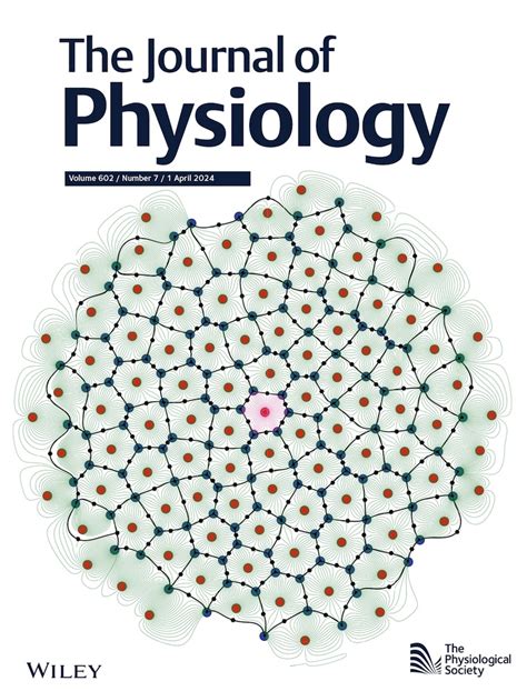Monocarboxylate Transporter 4 Deficiency Enhances High‐intensity Interval Training‐induced