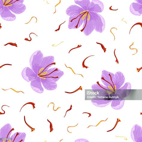 사프란 꽃과 말린 향신료 사프란 실 완벽 한 패턴 벡터 배경입니다 0명에 대한 스톡 벡터 아트 및 기타 이미지 0명 개화기 건조한 Istock