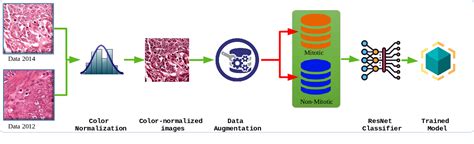 Figure 1 From Mitosis Detection In Breast Cancer With Deep Learning A New Approach Semantic