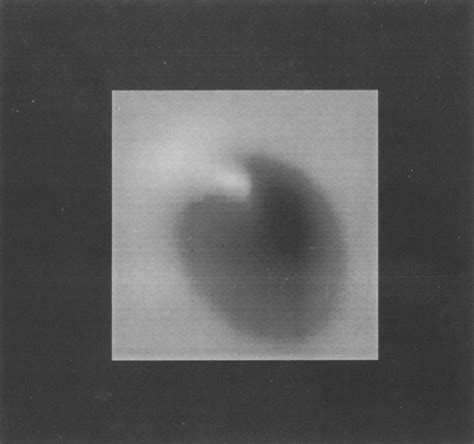 A Reproduction Of The Stimulus Used In Experiment 1 The Grid Of 196 Download Scientific