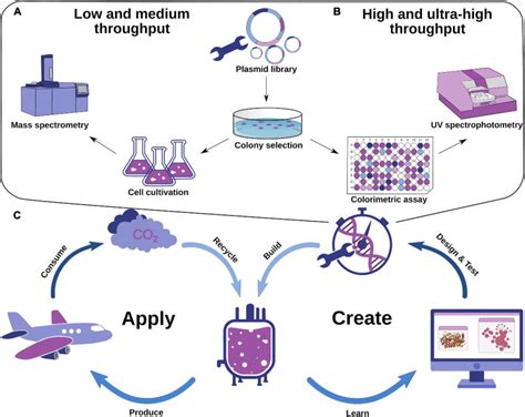 Computational Enzyme Engineering Pipelines For Optimized Production Of Renewable Chemicals