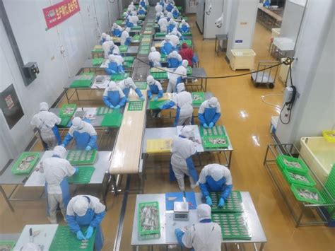 食品安全辽宁首家预制菜生产示范推广基地在连揭牌 大连新闻 天健原创 大连天健网