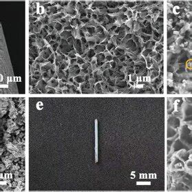 A Low And B High Magnification SEM Images Of The Ti TiO Wire Download Scientific Diagram