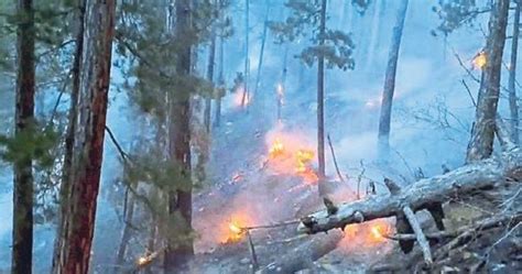 Orman Yangınını Yağmur Söndürdü Denizli Haberleri