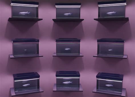 Geometry Nodes Geonode Display Instances Scales As Text Blender Stack Exchange