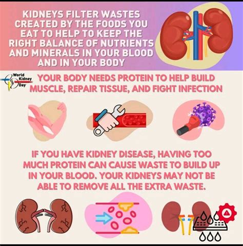 Dr Bhanu Mishra On Linkedin Awareness Is Key 🗝️