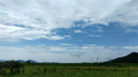 2023嵯峨野游玩攻略 嵯峨野位于岚山景区内来 去哪儿攻略
