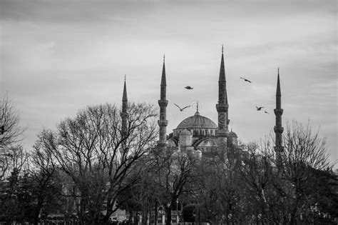 Imagen Blanco Y Negro De La Mezquita Azul Estambul Foto De Archivo
