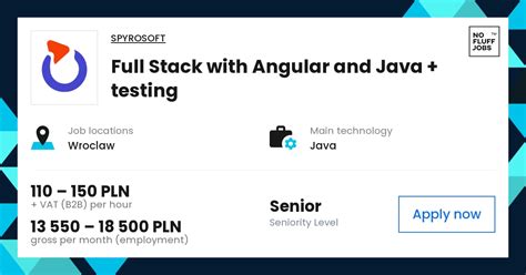 Full Stack With Angular And Java Testing Job Fullstack Spyrosoft Wroclaw No Fluff Jobs