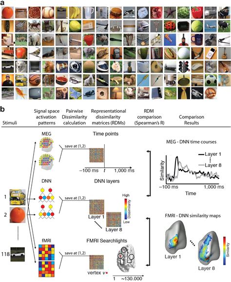 Figure 2 From Deep Neural Networks Predict Hierarchical Spatio Temporal