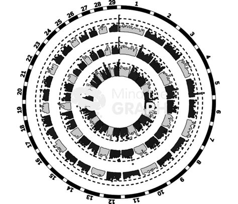 Circular Manhattan Plot Chart