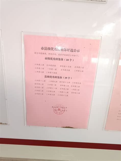 济宁市人民政府 评先树优 微山县第二实验小学教育集团 青山路校区优秀班集体公示