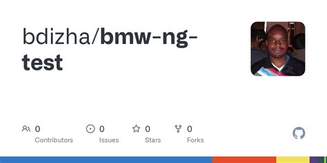 Github Bdizhabmw Ng Test