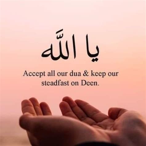 Shayan Abid Posted On Linkedin