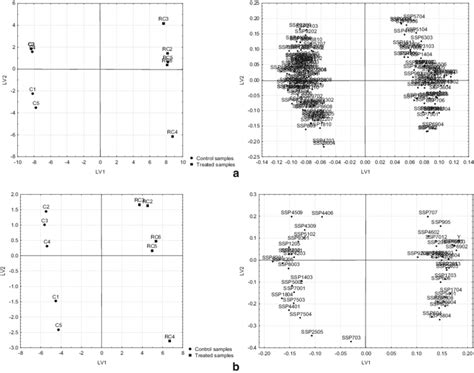 lysates dataset score plot and loading plot a of the first two