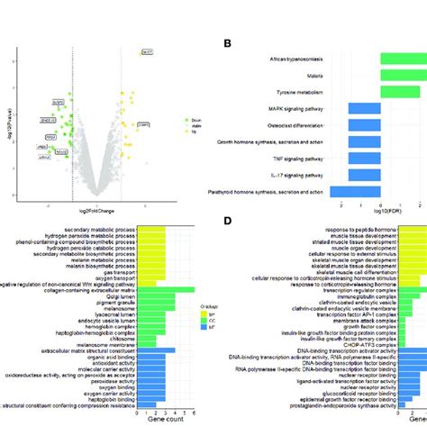 Results Of Microarray Data Analysis A Volcano Plot Of Microarray Download Scientific Diagram