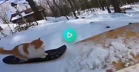 Talent Album On Imgur