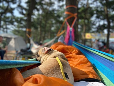 Hangul Day In Korea The South Of Seoul Blog