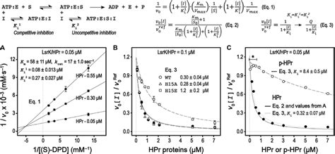 Enzyme Activity Of Lsrk Is Inhibited By Hpr An Enzymatic Model Of The