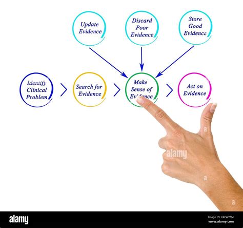 Diagram Of EBP Stock Photo Alamy