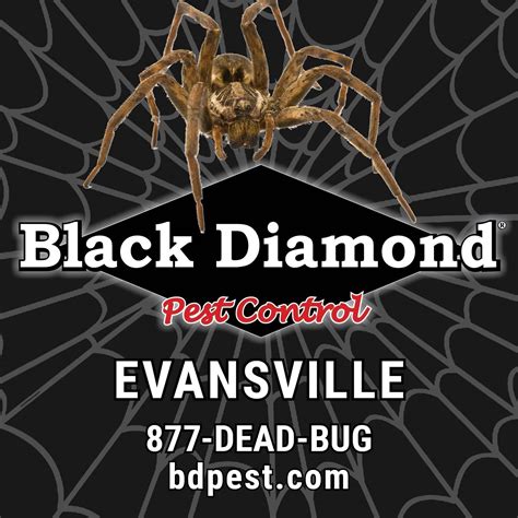 Black Diamond Pest Control