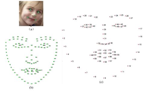 At Present There Are Three Mainstream Facial Contour Localization