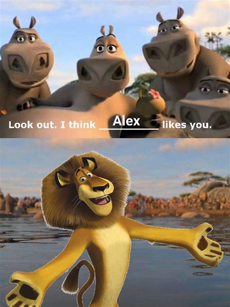 Madagascar Alex Likes Gloria By Gangstagaming On Deviantart